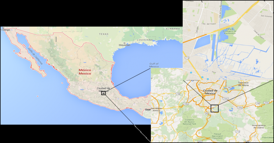 Habitat :: AxolotlResearchGroup